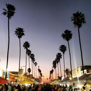 Ocean Beach: What You Need to Know - Wandering California