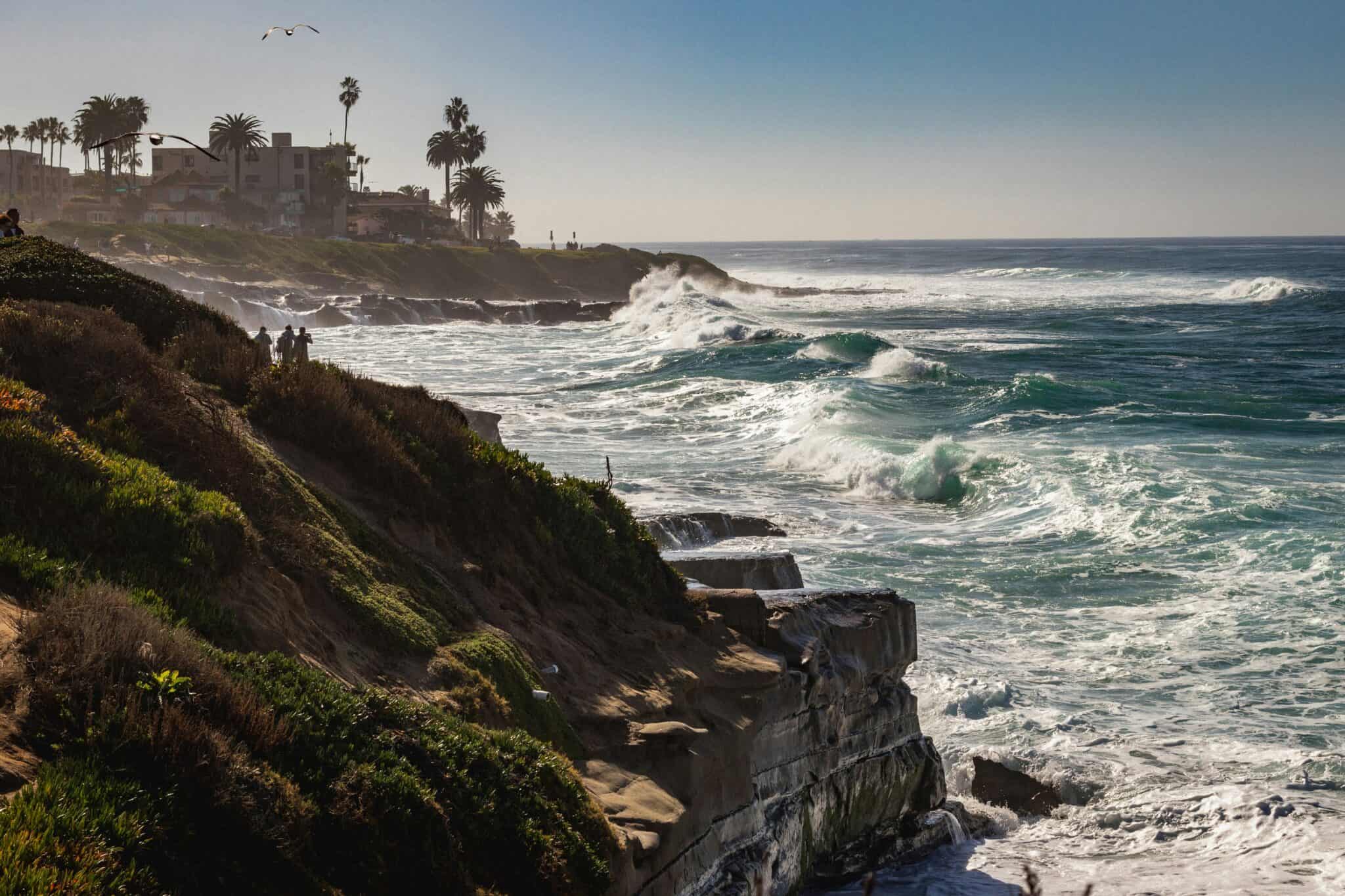 Best Things to Do in La Jolla: Coastal Adventures, Seals & Sunsets - Wandering California
