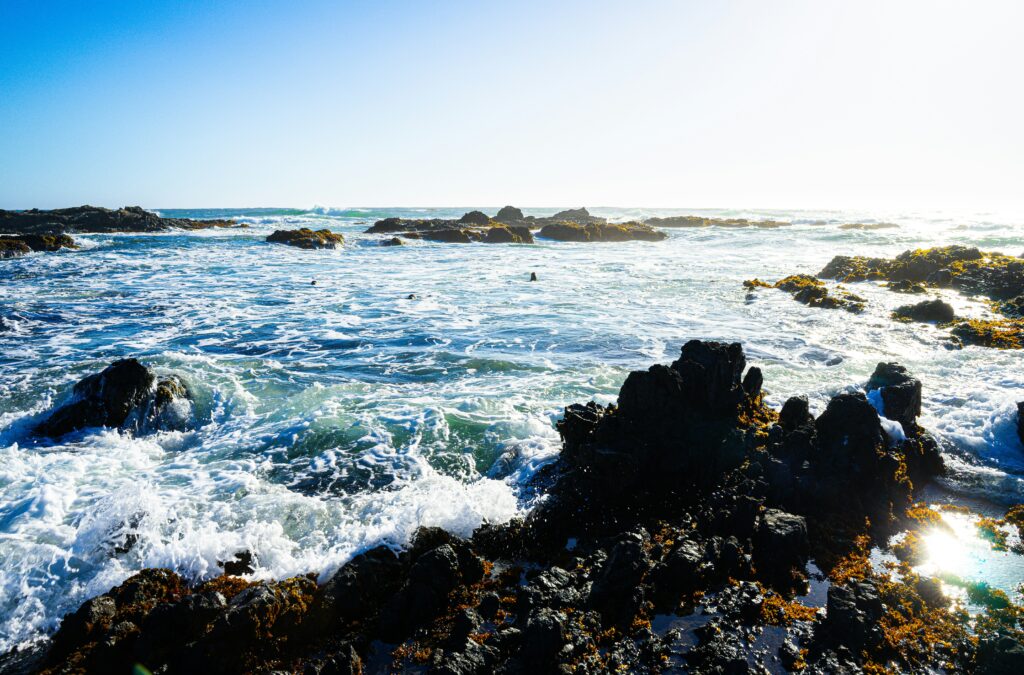 Northern California Coast Road Trip: 11 Must-See Stops From a Local ...