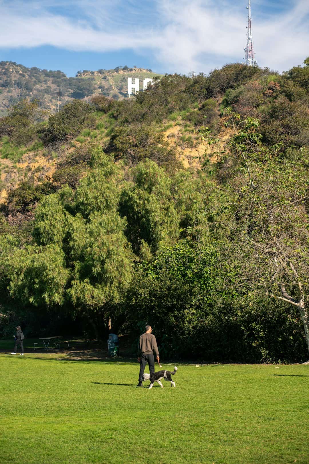 9 Best Dog-Friendly Campgrounds Near Los Angeles - Wandering California